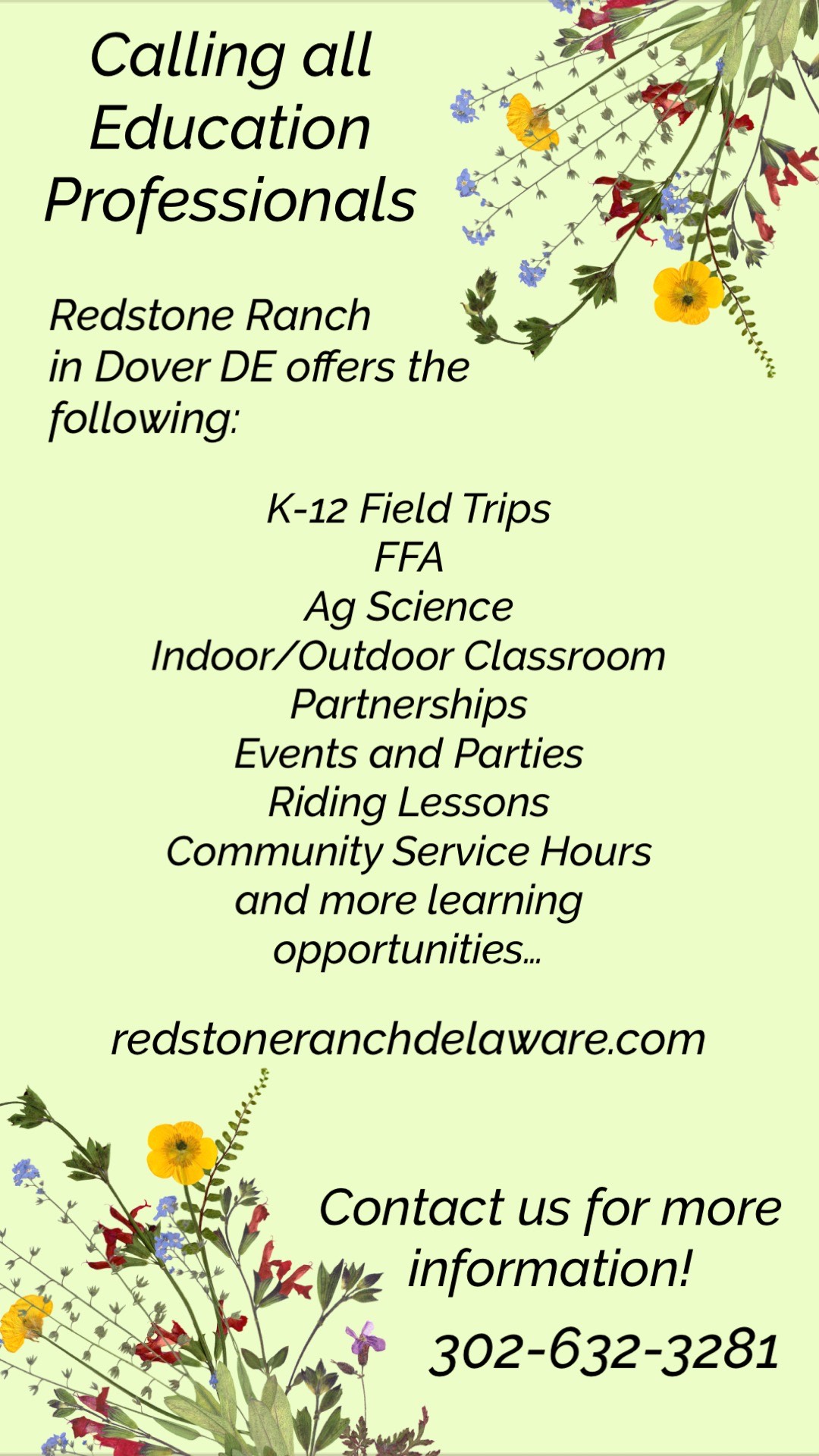 Redstone Ranch DE • Services